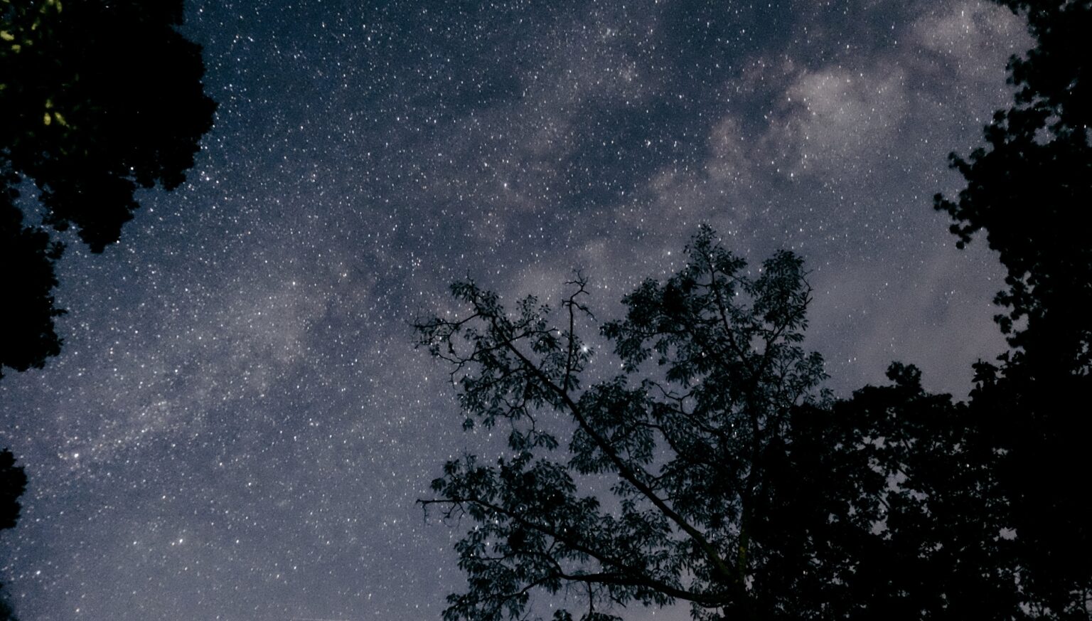 Weekly Schedule - Chilli FM