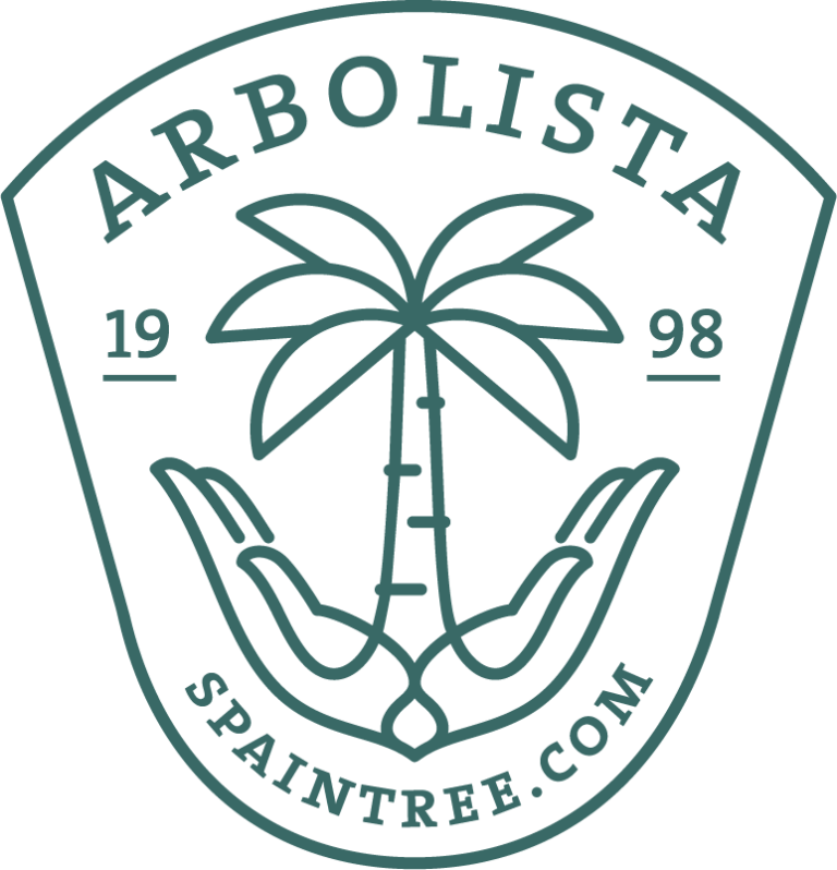 Costa del Sol’s English-Speaking Radio Station | Chilli FM